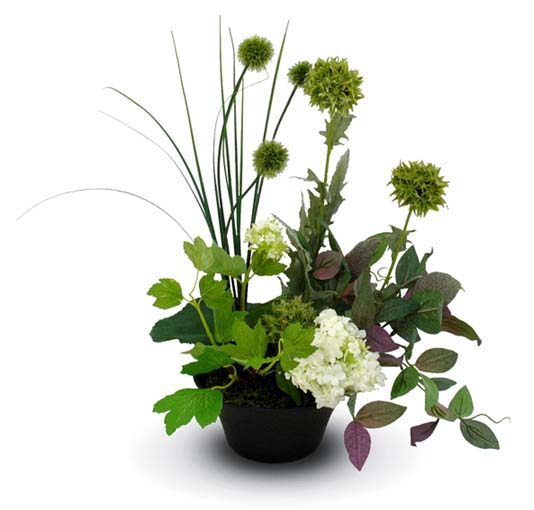 ベルジュエルブ